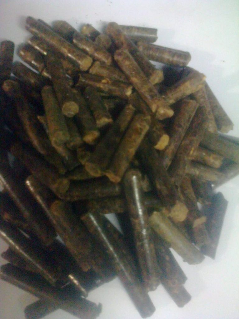 Wood Pellets - Green Solid Fuel